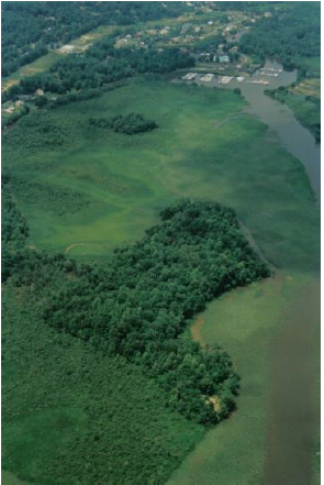 Government Island – Freestone Industry - Discover Stafford